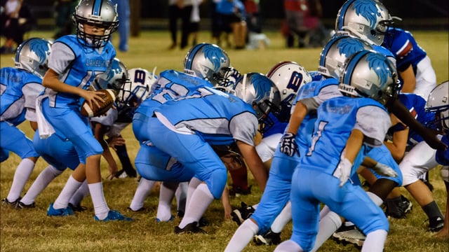 Lion's Participate in 2016 MLF Championship - Lakeland Currents