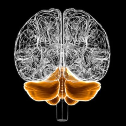 Amber Bedell of McKinleyville Explains the Link Between Epigenetics and ...