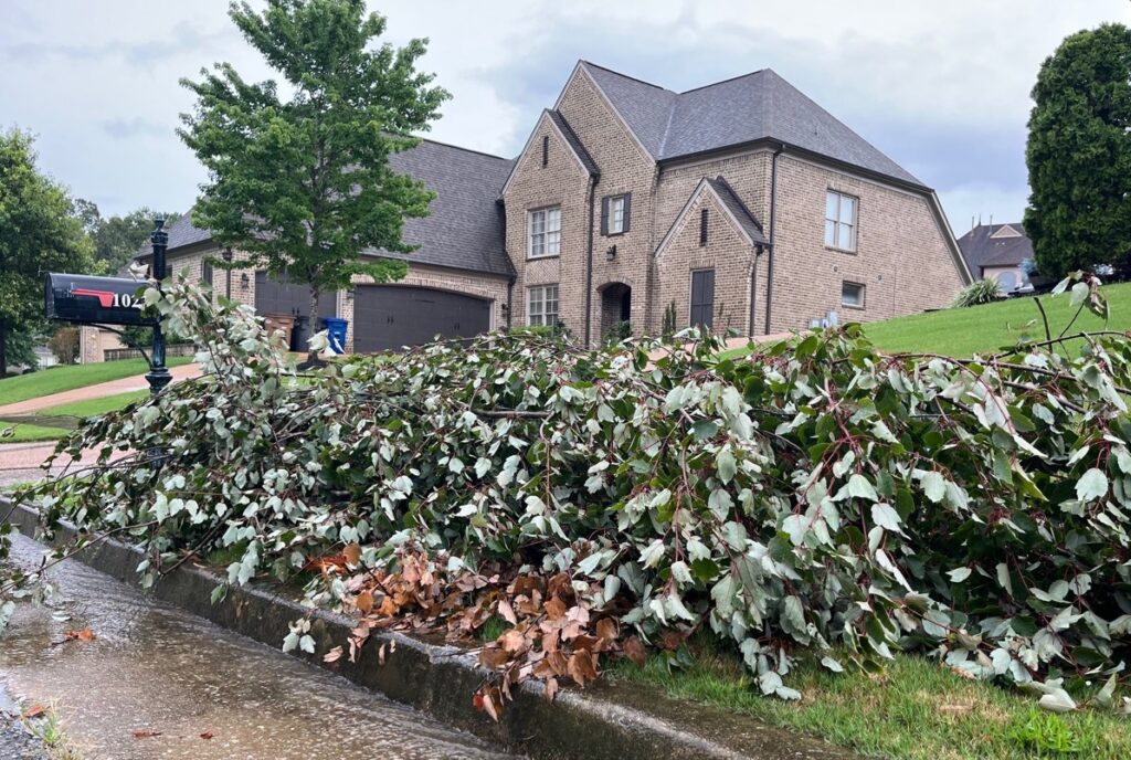 Limb Pickup From Storm Damage Will Begin Monday, July 10 - Lakeland ...