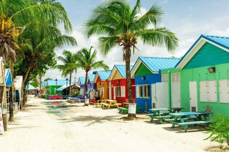 Major Jamil Brown on Exploring the Diversity of Caribbean Art: From ...