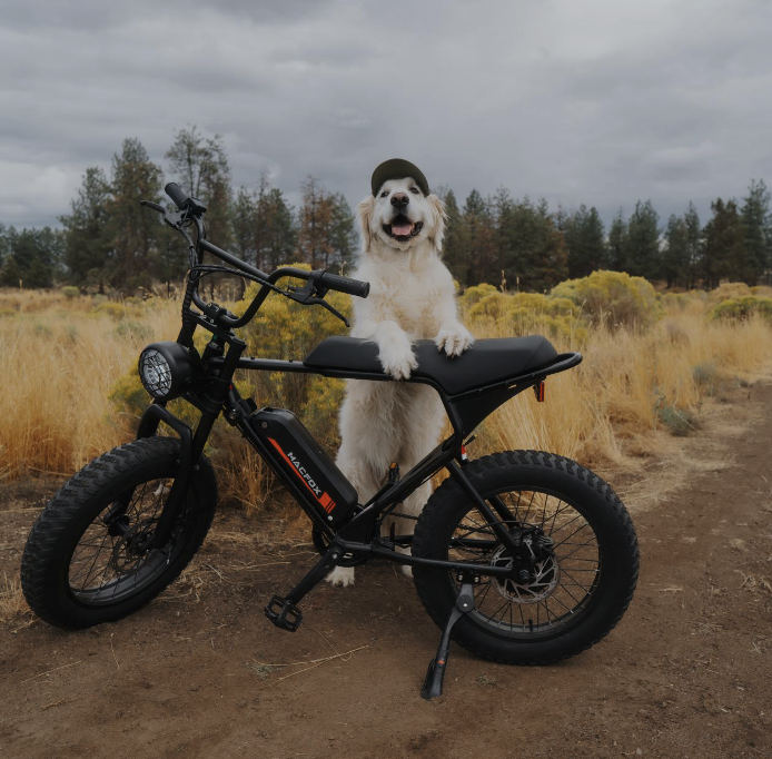 Electric Bike with Thumb Throttle Featuring Macfox X1S Electric ...