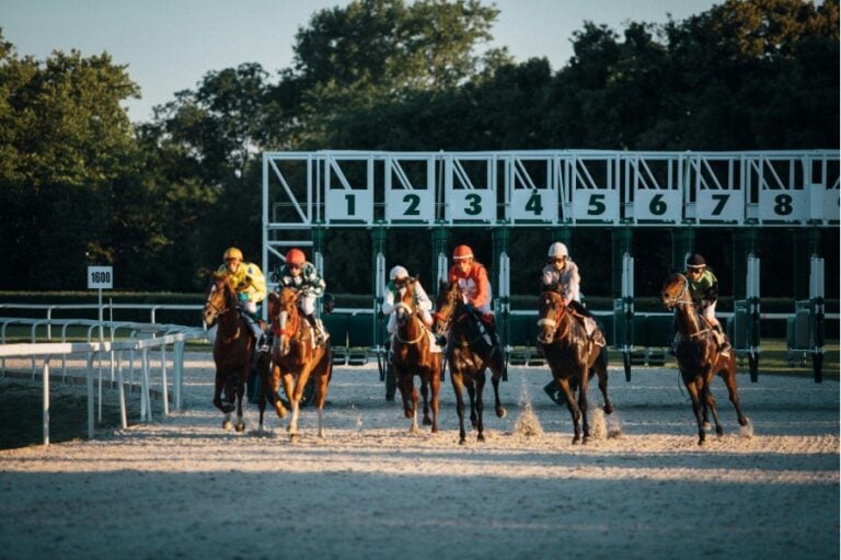The Belmont Stakes Horses Fans and Bettors Are Watching Closely ...